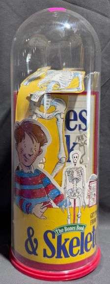 Buildable Skeleton in Plastic Dome 13-Inch - Metzger Property Services, LLC