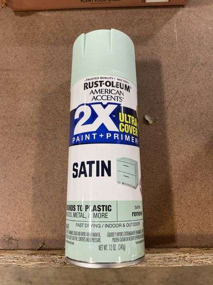 Rust-Oleum Satin Renew Paint 12 Oz - Metzger Property Services, LLC