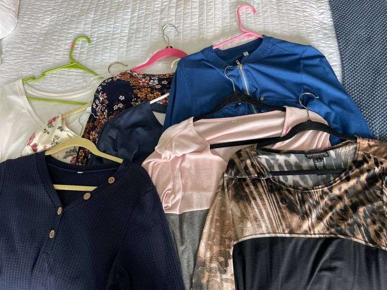 Women’s Size Large Clothing Lot with Tops, Blouses, and Dresses ...