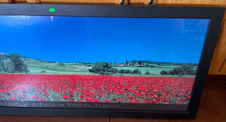 Framed Panoramic Print, ‘A Field of Poppies, Tuscany’ by Anthea Images - Metzger Property ...