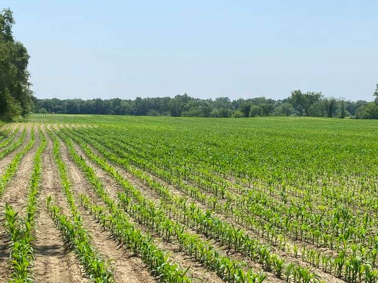 20+/- Acres of Cropland - Metzger Property Services, LLC