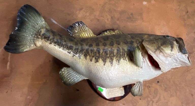 Mounted Largemouth Bass with Engraved Plaque - Metzger Property ...