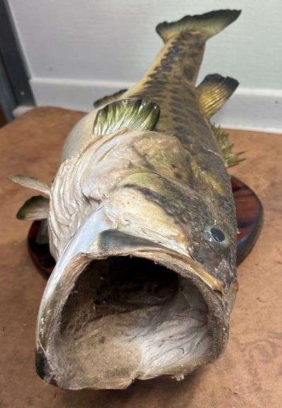 Mounted Largemouth Bass with Engraved Plaque - Metzger Property ...