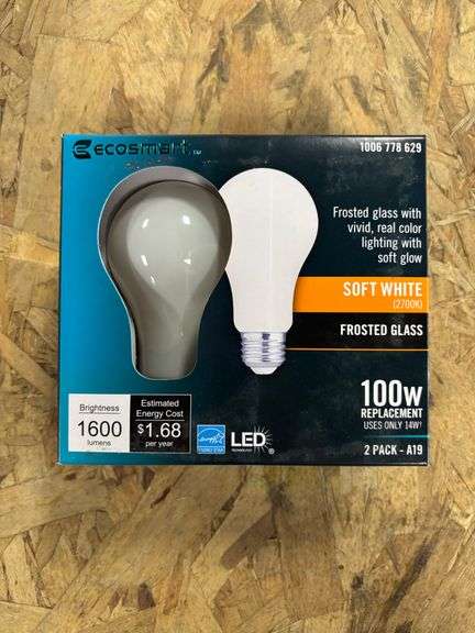 EcoSmart 100-Watt Equivalent A19 Dimmable CEC Frosted Glass Filament ...