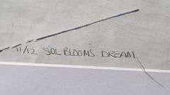 Framed Limited Edition Print ‘Sol Bloom’s Dream,’ Signed Jasquirt, 11/ ...