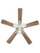 HAMPTON BAY - Riley 44 in. Indoor LED Brushed Nickel Ceiling Fan with ...