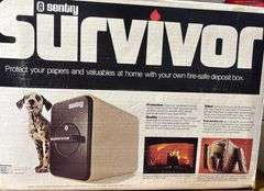 Sentry Survivor Fire-Safe Deposit Box with Key - Metzger Property ...