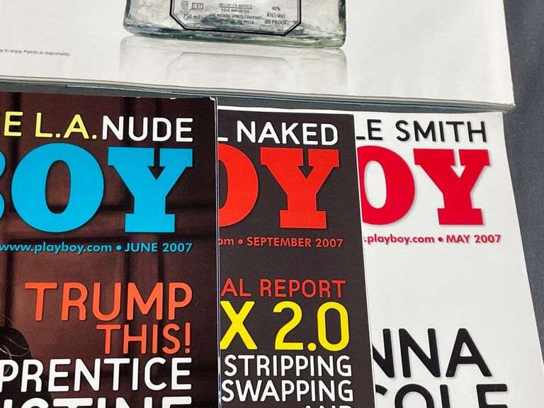 10 Playboy Magazines from 2007-2008 - Metzger Property Services, LLC