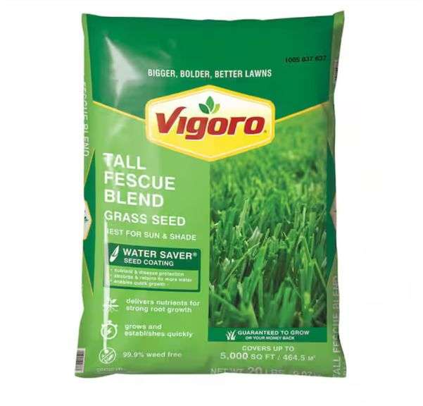 Vigoro 20 lbs. Tall Fescue Grass Seed Blend with Water Saver Seed ...