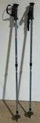 SwissGear Telescoping Aluminum Trekking Poles with Rubber Handles and ...