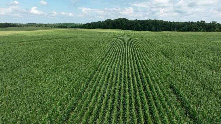 Metzger Property Services, LLC