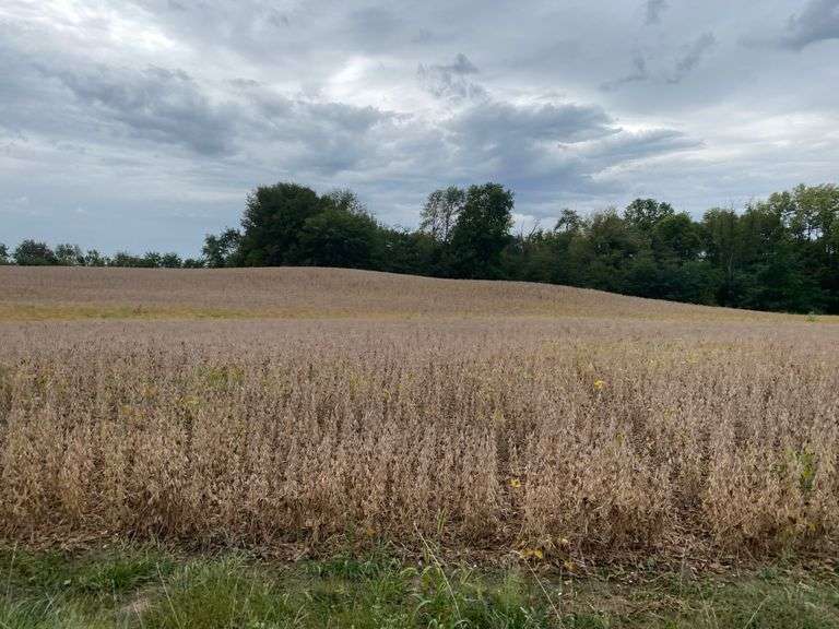 60+/- Acres of Cropland, Woods, & Home - Metzger Property Services, LLC