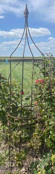 Metal Garden Trellis with Decorative Top Finial, 72” - Metzger Property ...
