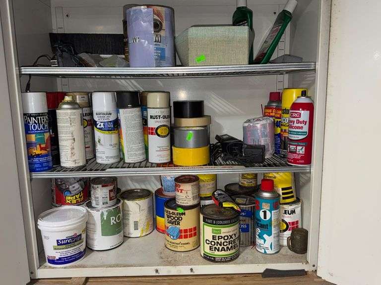 Contents of Shelving Unit with Paints, Adhesives, and Household Items ...