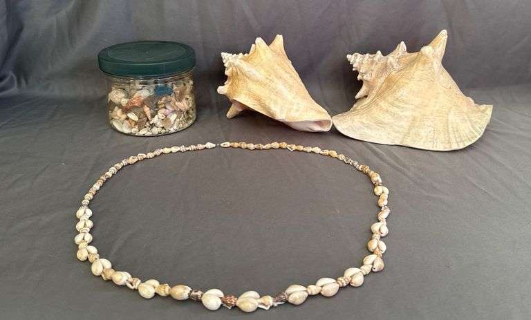 Shell Collectibles Inc. Container, Shell Necklace, and Large Conch ...