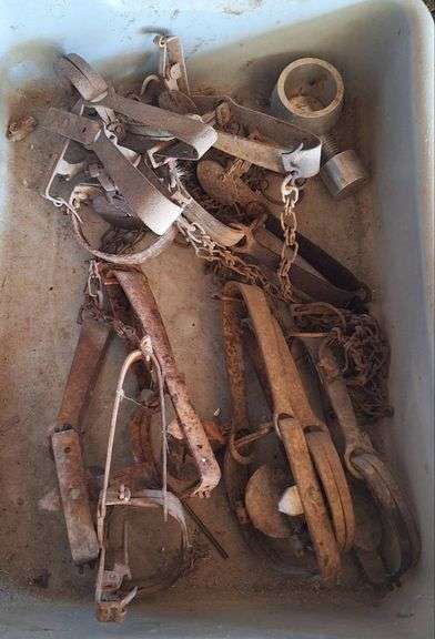 Metal Animal Traps with Chains - Metzger Property Services, LLC