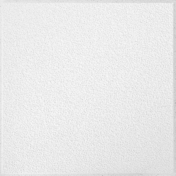 ARMSTRONG - SuperTuff 2 ft. x 2 ft. Tegular Ceiling Tile (48 sq. ft ...