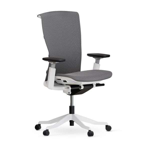 AUTONOMOUS - Ergonomic Office Chair Without Headrest - Dover Gray ...