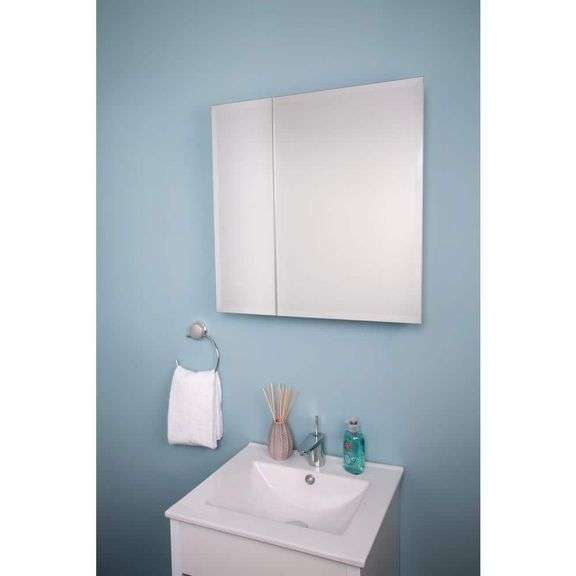 CROYDEX - 24 in. W x 24 in. H x 5 in. D Frameless Bi-View Surface-Mount ...