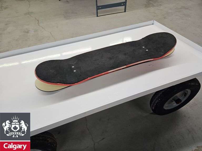 Snow/Skateboard - Michener Allen Auctioneering Ltd
