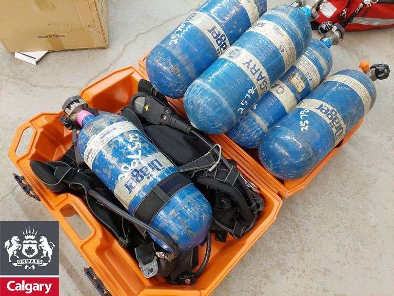 1 Drager SCBA, 7 Bottles and 1 Drager Face Piece Drager - Michener ...