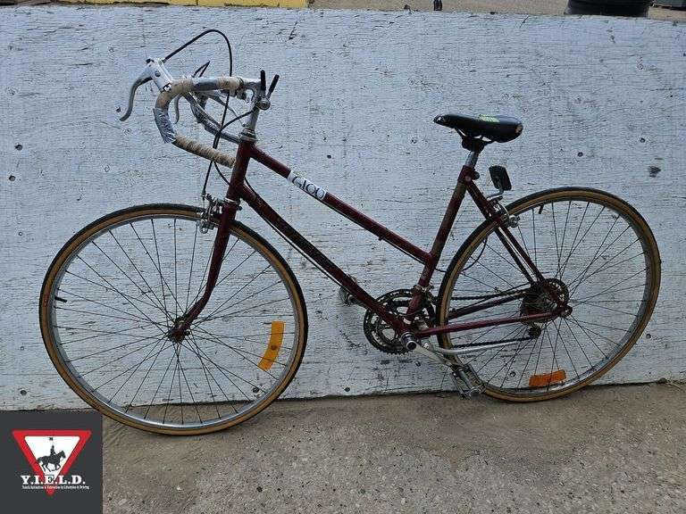 Venture Bike - Qty.1 - Michener Allen Auctioneering Ltd