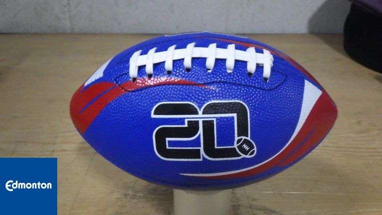 Mini Football (dollarama brand) - Michener Allen Auctioneering Ltd