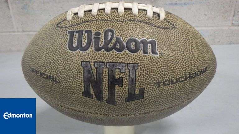 Wilson NFL Official Touchdown Football Wilson NFL Official Touchdown ...