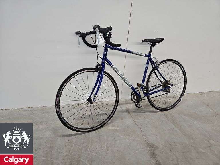Blue KHS Flite 220 - Michener Allen Auctioneering Ltd
