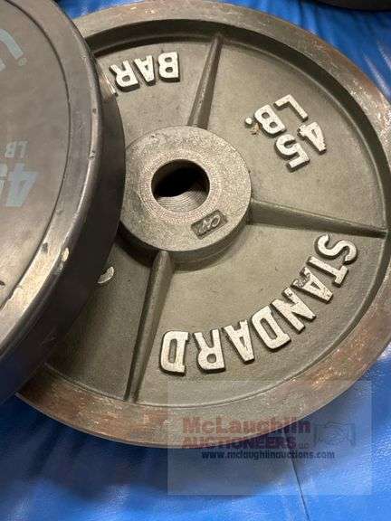 Rogue Standard Weight Plates, 45 lbs each, Cast Iron, Black with Blue ...