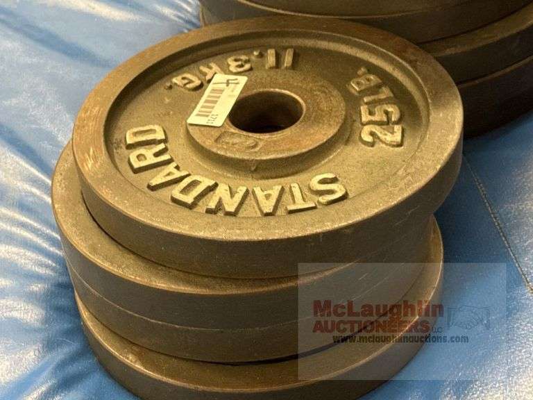 Standard 25 lb Cast Iron Weight Plates, Set of 4, 1-Inch Hole ...