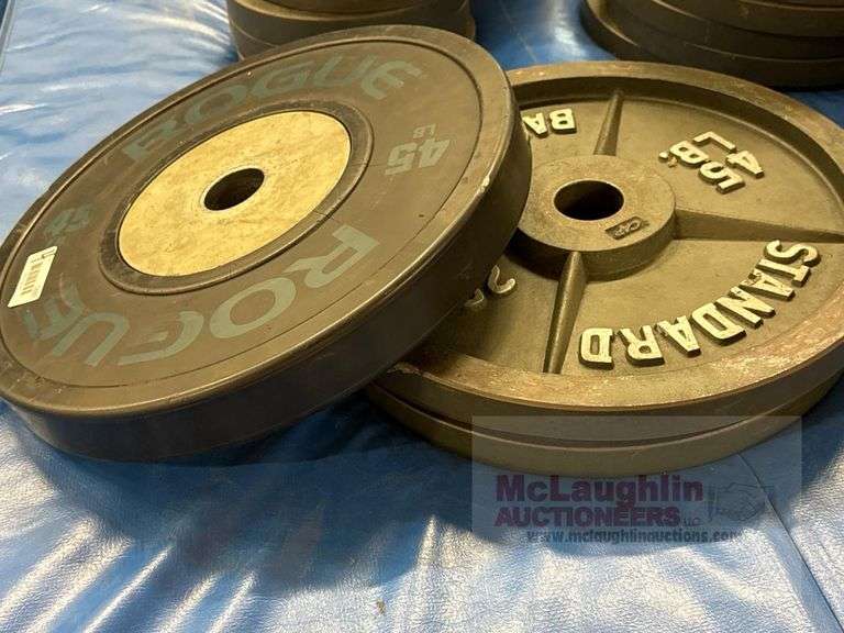 Rogue Standard Weight Plates, 45 lbs each, Cast Iron, Black with Blue ...