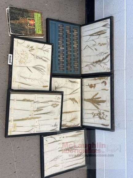 Botanical Specimen Collection with "Wildflowers, Grasses & Other Plants ...