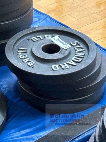 Standard 25 lb Cast Iron Weight Plates, Set of 5, Total 100 lbs ...