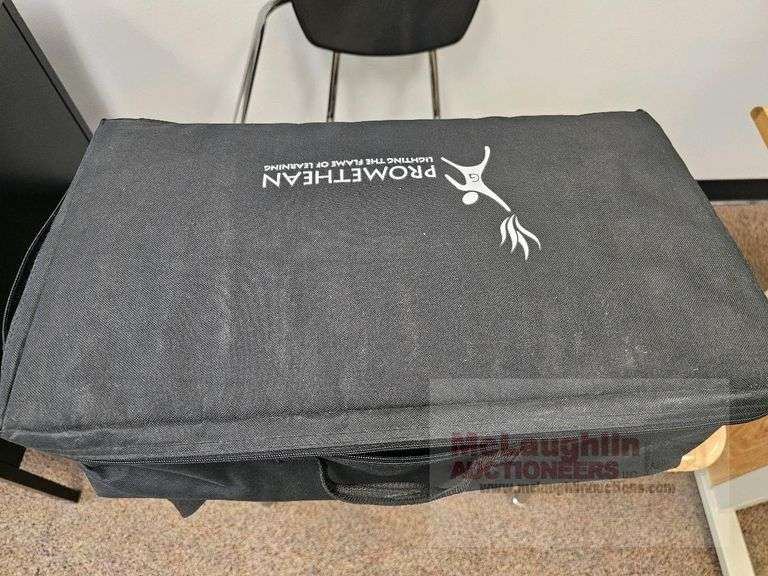 Promethean ActivExpression Audience Response System - McLaughlin ...