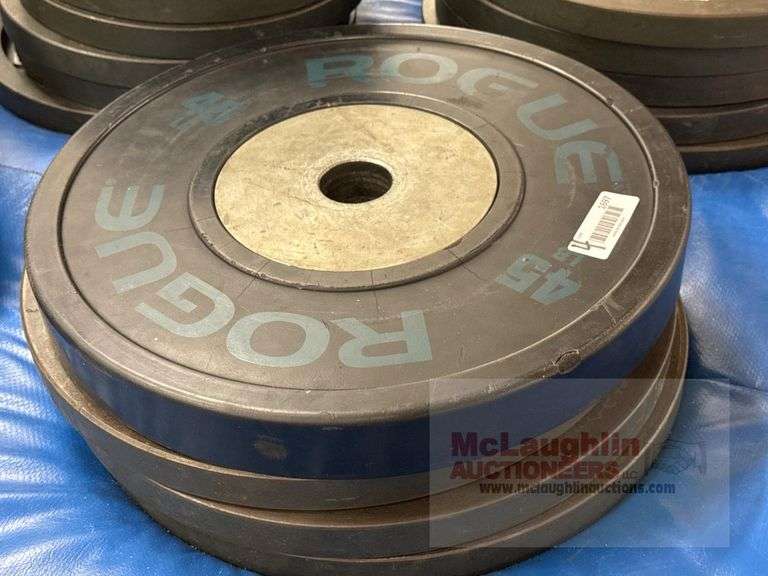 Rogue Standard Weight Plates, 45 lbs each, Cast Iron, Black with Blue ...