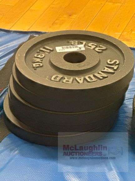 STANDARD Weight Plates, 25 lb Each, Cast Iron - McLaughlin Auctioneers ...