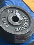Standard 25 lb Cast Iron Weight Plates, Set of 5, Total 100 lbs ...