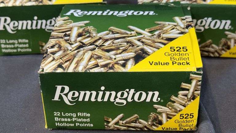 Remington Golden Bullet Value Pack, 22 Long Rifle, 525 Rounds ...