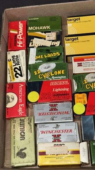 Multiple Rounds .22 Caliber Rimfire Ammo - Federal, Remington, CCI ...
