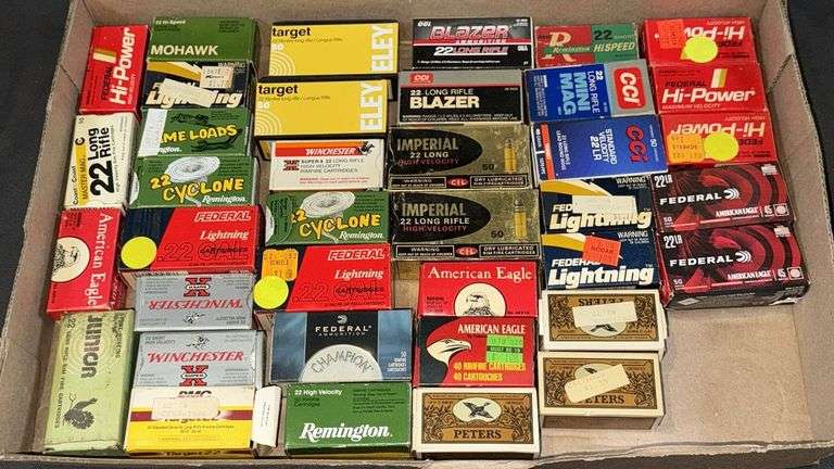 Multiple Rounds .22 Caliber Rimfire Ammo - Federal, Remington, CCI ...