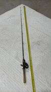 Fenwick Walleye Classic Rod with Daiwa PS2L-5B Baitcasting Reel - McLaughlin Auctioneers, LLC ...