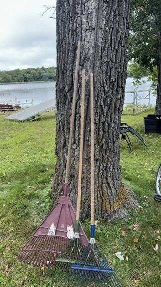 Set of 3 Leaf Rakes with Wooden Handles, Red, Green, Blue - McLaughlin ...