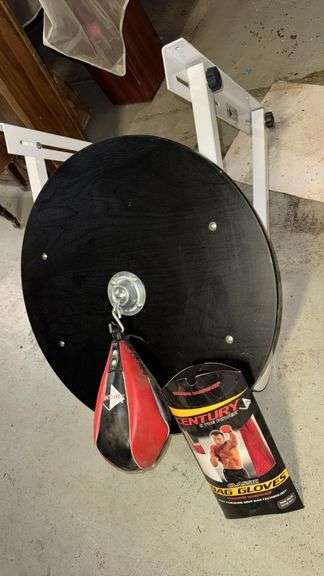 Century Speed Bag Platform with Bag and Gloves, Wall-Mounted ...