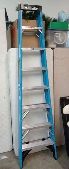 Werner blue fiberglass 8 ft step ladder - Mark Van Hook, Auctioneer