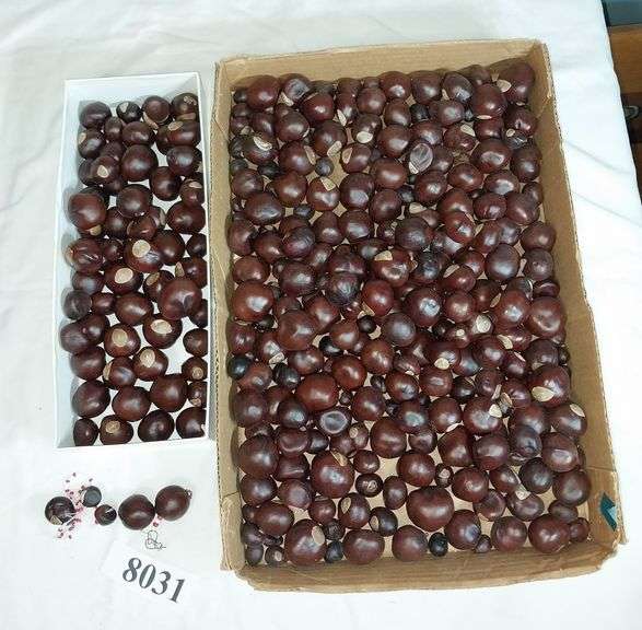 Buckeyes - Mark Van Hook, Auctioneer