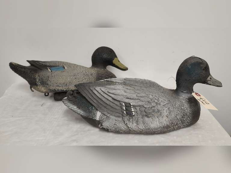 2 Plastic duck decoys - Northern Kentucky Auction, LLC