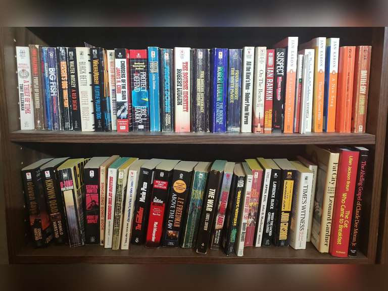 2 Shelves of various paper/hardback novels, see pics for all titles. (B ...