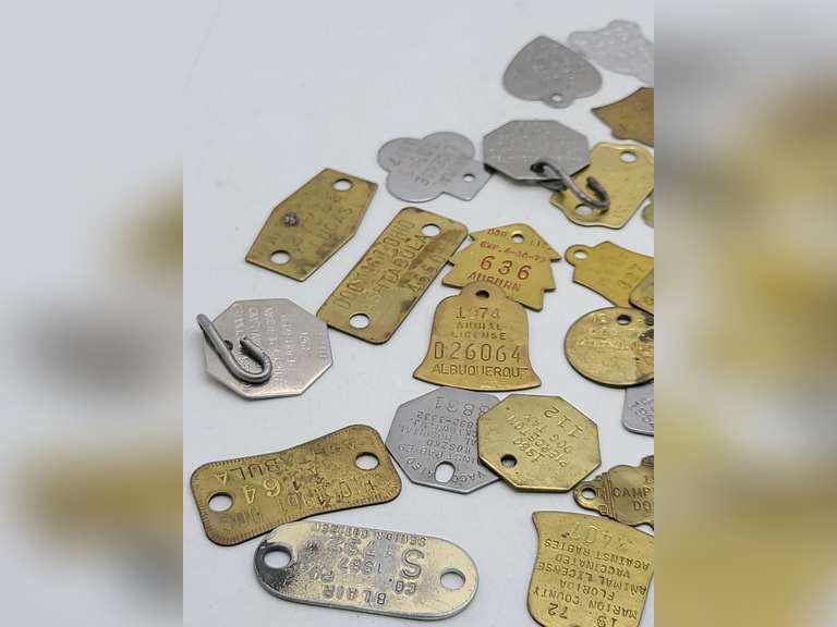 Group of 1960s & 1970s Dog License & Rabies Tags - Various States and ...