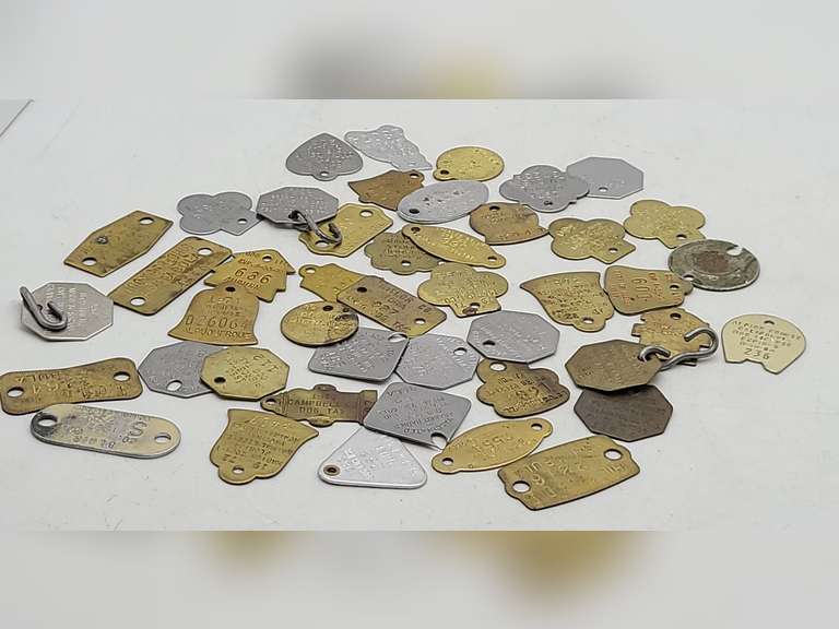 Group of 1960s & 1970s Dog License & Rabies Tags - Various States and ...